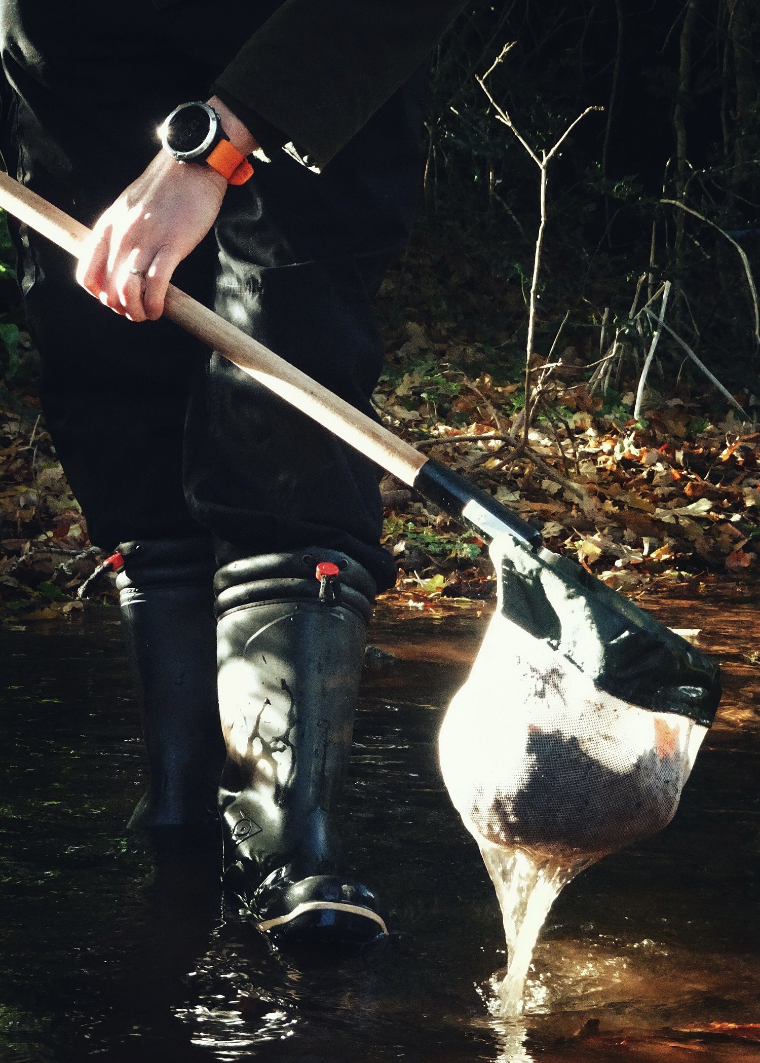 Could you be a volunteer River Ranger? - Boostdigitalmedia.net