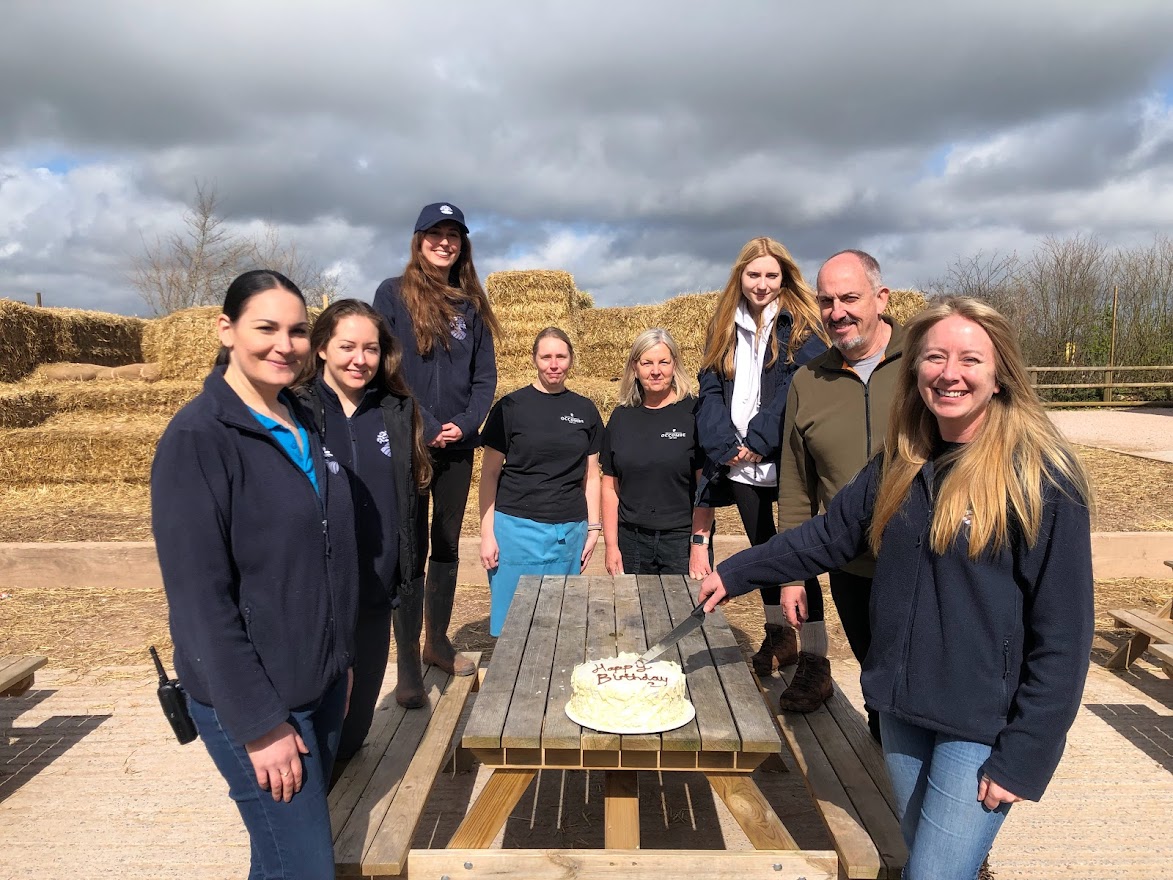 Occombe Farm celebrates Farm Park & Play First Birthday ...